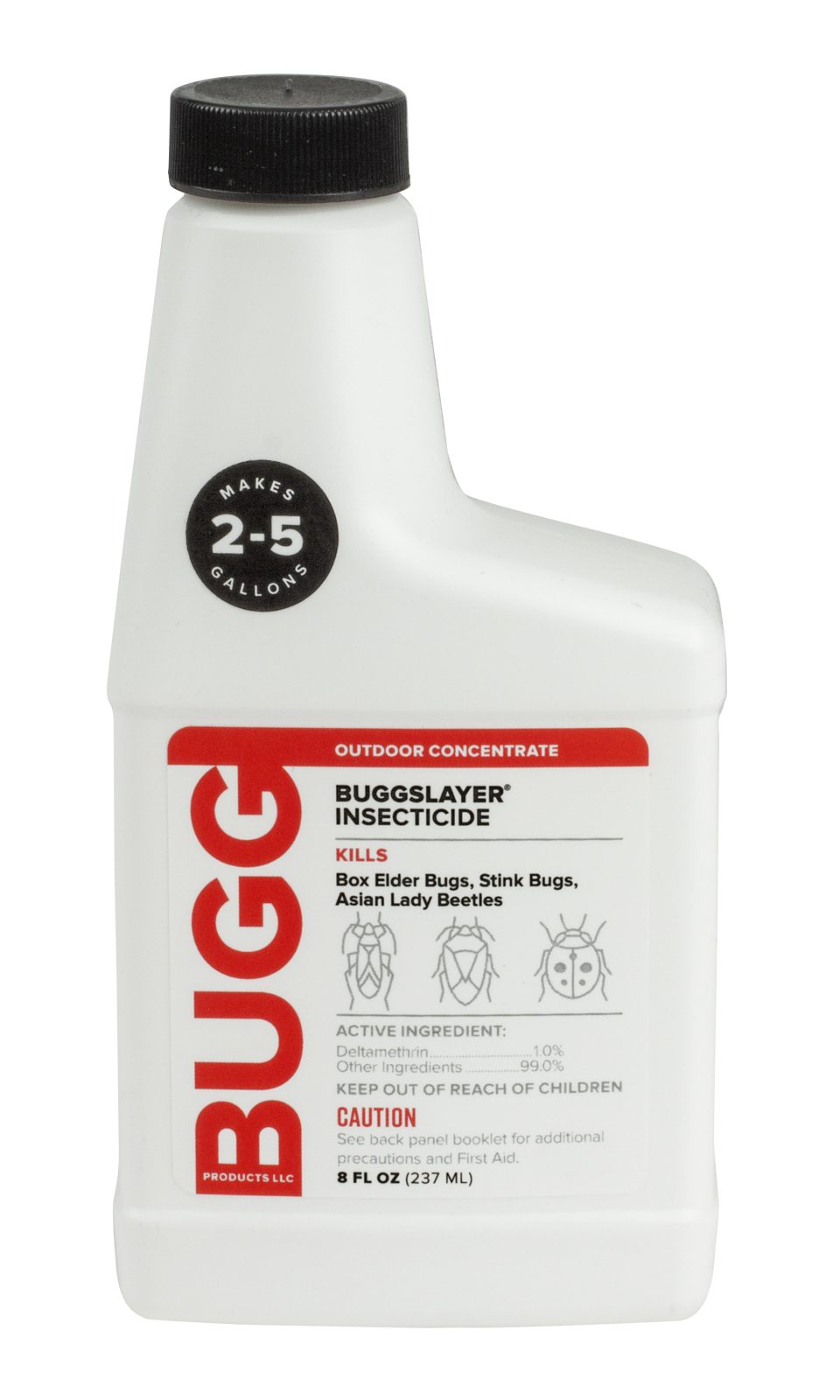 Box Elder Bug Stink Bug Asian Lady Beetle Killer | BUGGSLAYER